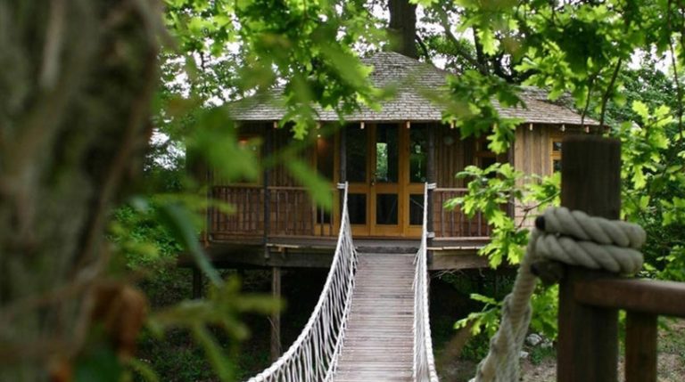 5 Beautiful Tree House Resorts in Kerala For Stunning Natural Views!