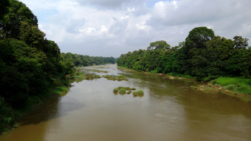 10 Beautiful Rivers in Kerala - Place of Origin, Length & Many More to ...