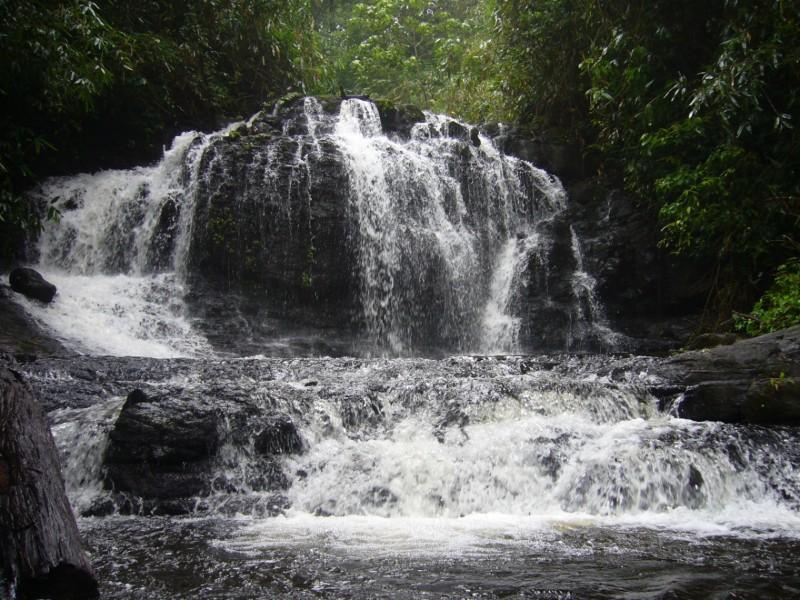 18 Best Places to Visit in Thekkady & Travel Guide on Beautiful Hill ...