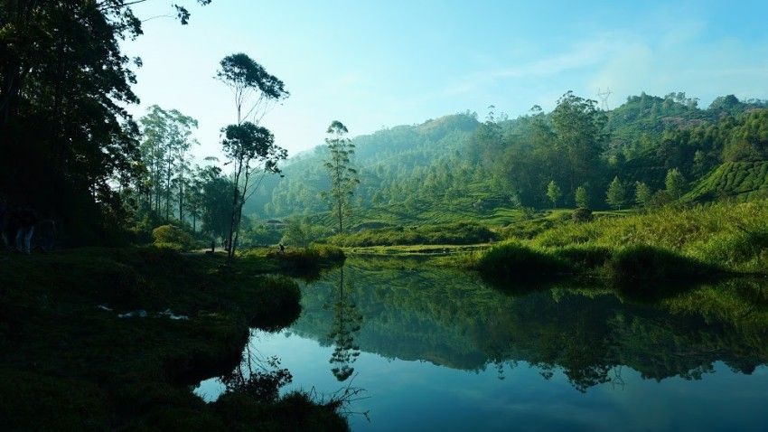 11 Perfect Tourist Places to Visit in Munnar You Shouldn’t Miss on Your ...
