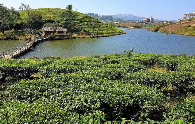 11 Perfect Places to Visit in Vagamon for a Blissful Trip
