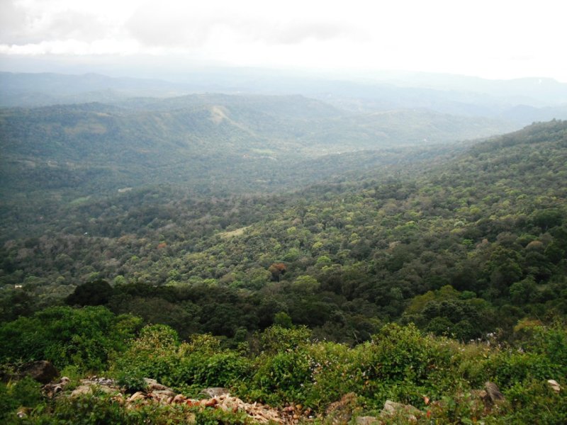 Munnar to Kodaikanal Route, Distance & Travel Guide