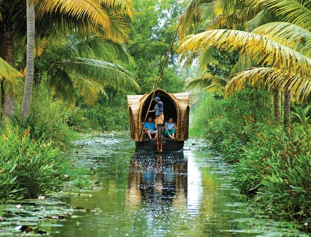 Alleppey Backwaters in Kerala - Attractions, Activities & Local Information