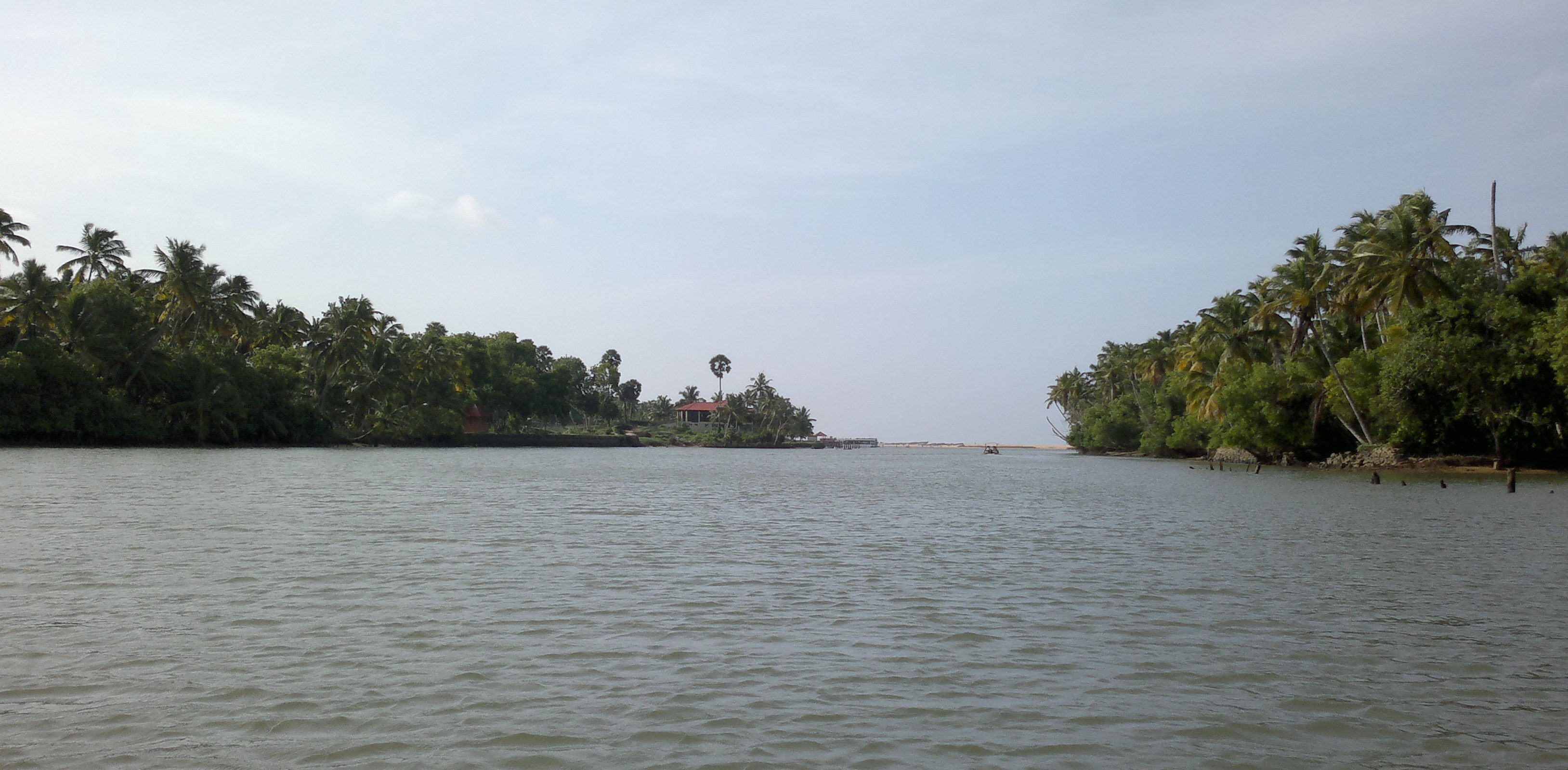 Poovar Island - Attractions & Activities at Poovar Beaches & Backwaters