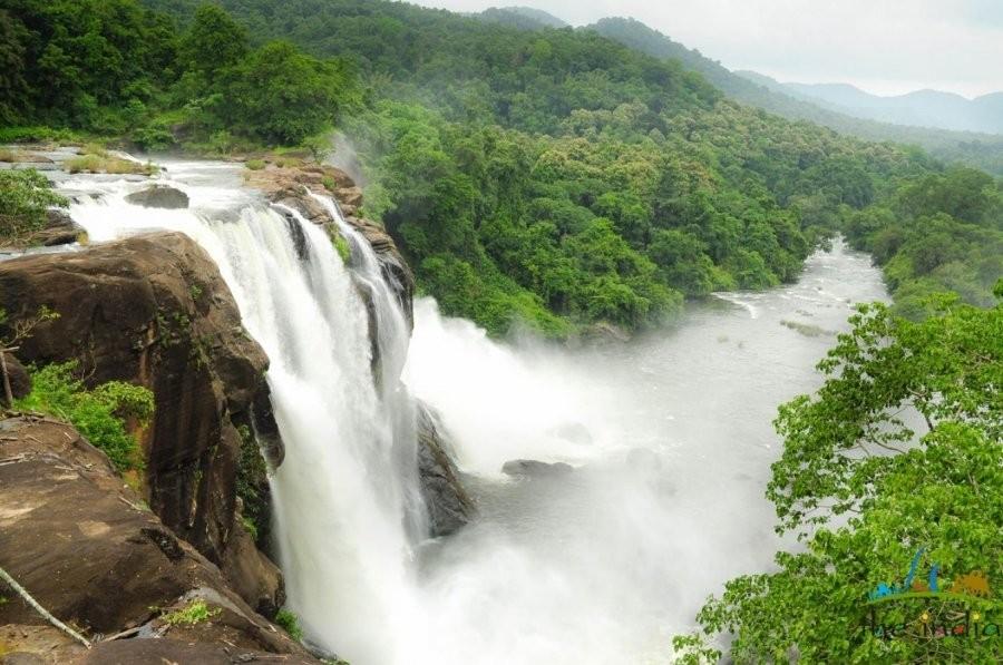 Plan One Day Trip to Athirappilly Waterfalls from Kochi
